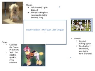 Creative breeds | PDF