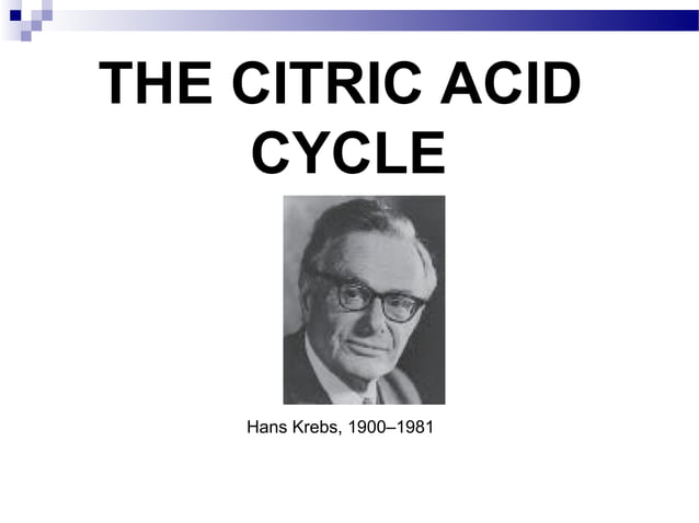 Crebs cycle 2013 | PPT