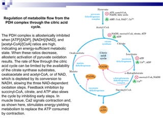 Crebs cycle 2013 | PPT
