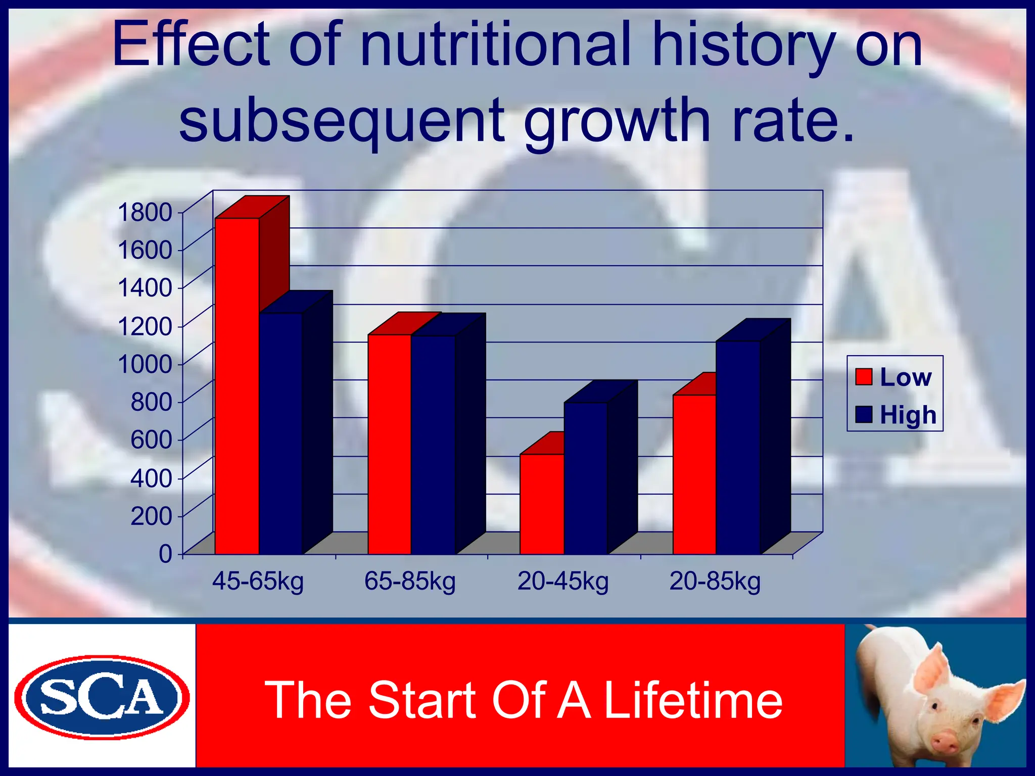 crecimiento compensatorio.ppt en cerdos nutricion | PPT