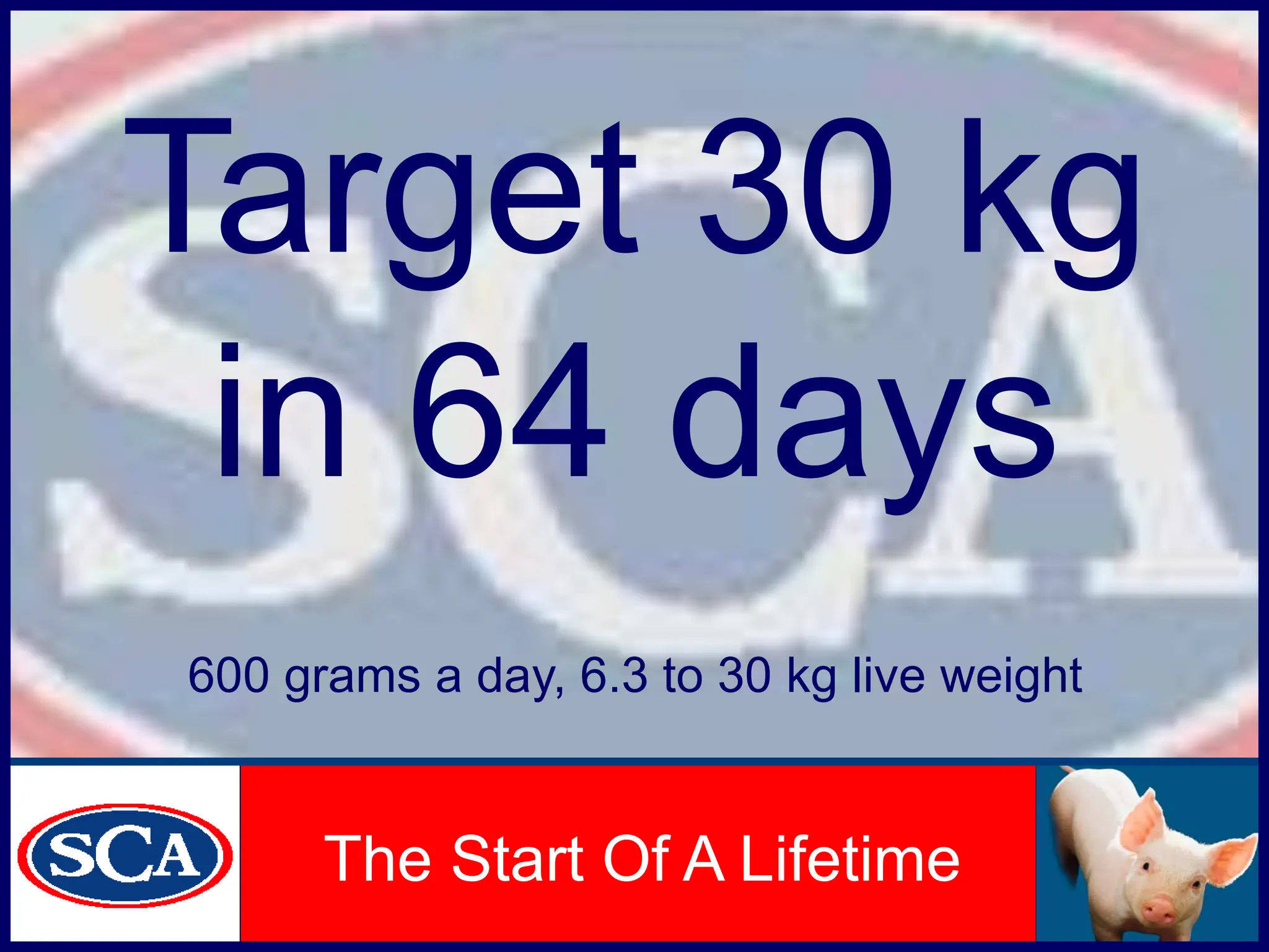 crecimiento compensatorio.ppt en cerdos nutricion | PPT