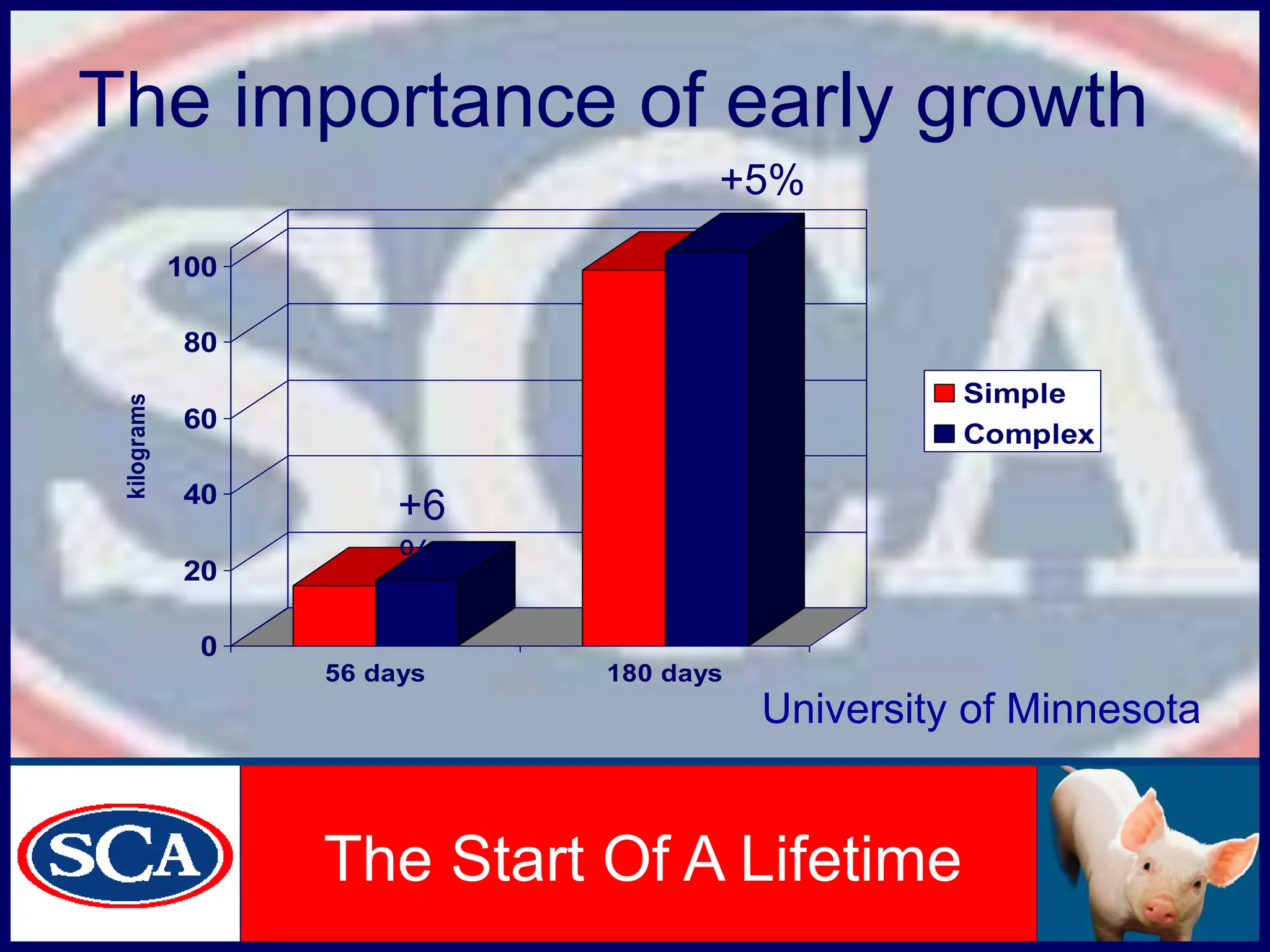 crecimiento compensatorio.ppt en cerdos nutricion | PPT
