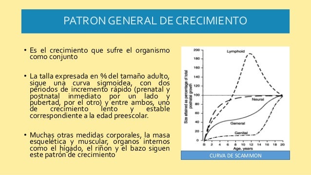 Crecimiento