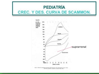 Crecimiento y desarrollo curvas pediatría | PPTX