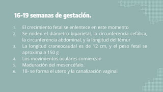 Crecimiento y desarrollo fetal - Obstetricia | PPTX