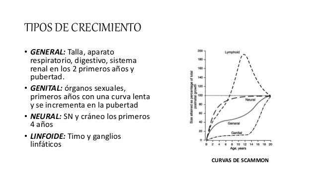 Crecimiento y desarrollo infantil