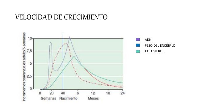 Crecimiento y desarrollo infantil
