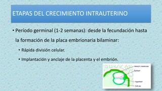 Crecimiento y desarrollo intruterino | PPTX