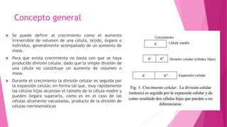 Crecimiento y desarrollo vegetal | PPTX
