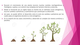Crecimiento y desarrollo vegetal | PPTX