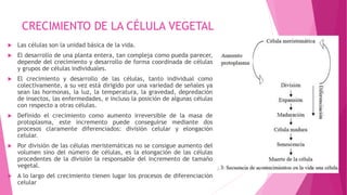 Crecimiento y desarrollo vegetal | PPTX