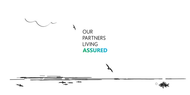 Credentials promising designs | PPT