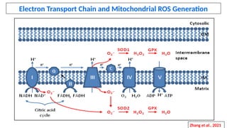 Reactive Oxygen Species (ROS) Production and Antioxidant Defense in ...