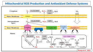 Reactive Oxygen Species (ROS) Production and Antioxidant Defense in ...