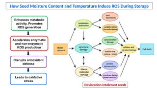 Reactive Oxygen Species (ROS) Production and Antioxidant Defense in ...