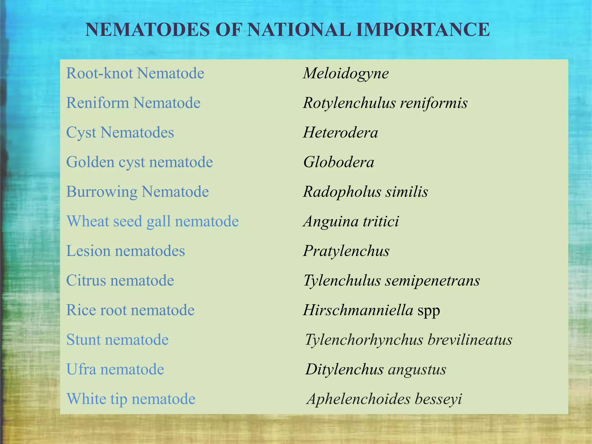MAJOR PLANT PARASITIC NEMATODES OF INDIA THEIR DISTRIBUTION AND ...