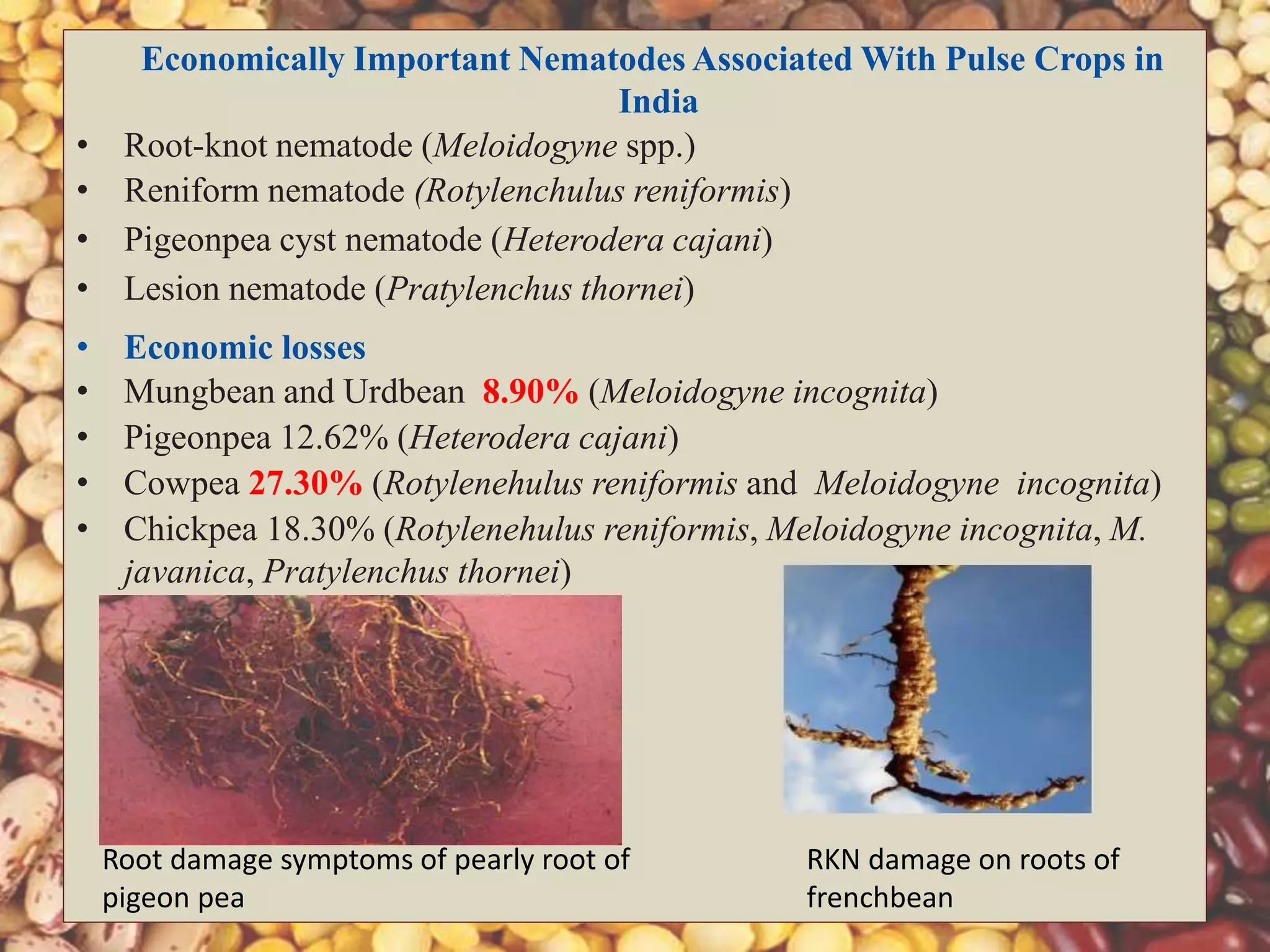 MAJOR PLANT PARASITIC NEMATODES OF INDIA THEIR DISTRIBUTION AND ...