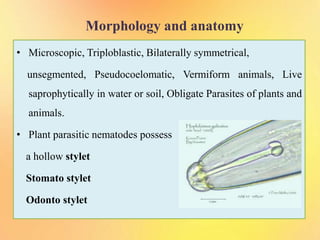 MAJOR PLANT PARASITIC NEMATODES OF INDIA THEIR DISTRIBUTION AND ...