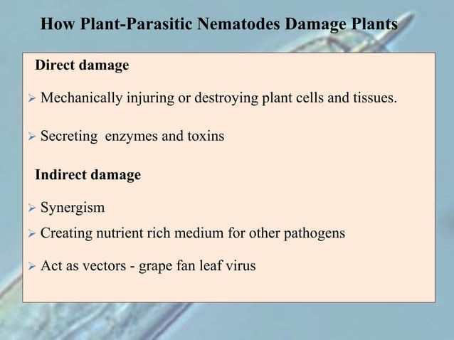 MAJOR PLANT PARASITIC NEMATODES OF INDIA THEIR DISTRIBUTION AND MANAGEMENT | PPTX | Agriculture ...