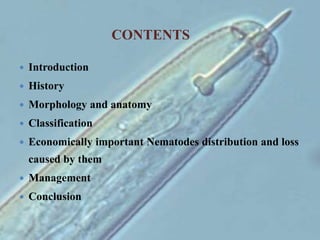 MAJOR PLANT PARASITIC NEMATODES OF INDIA THEIR DISTRIBUTION AND ...