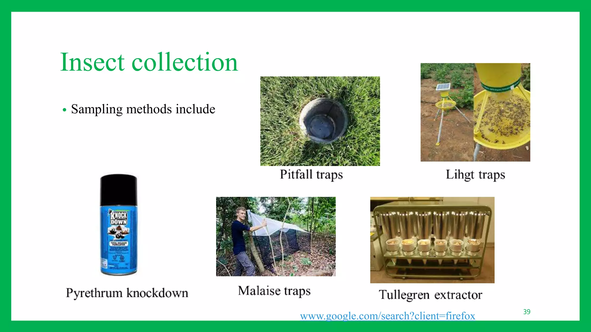 DNA barcoding and Insect Diversity Coservation | PPTX
