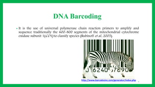 DNA barcoding and Insect Diversity Coservation | PPT