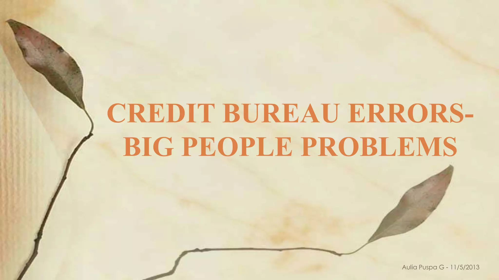 Credit bureau errors big people problems | PPT