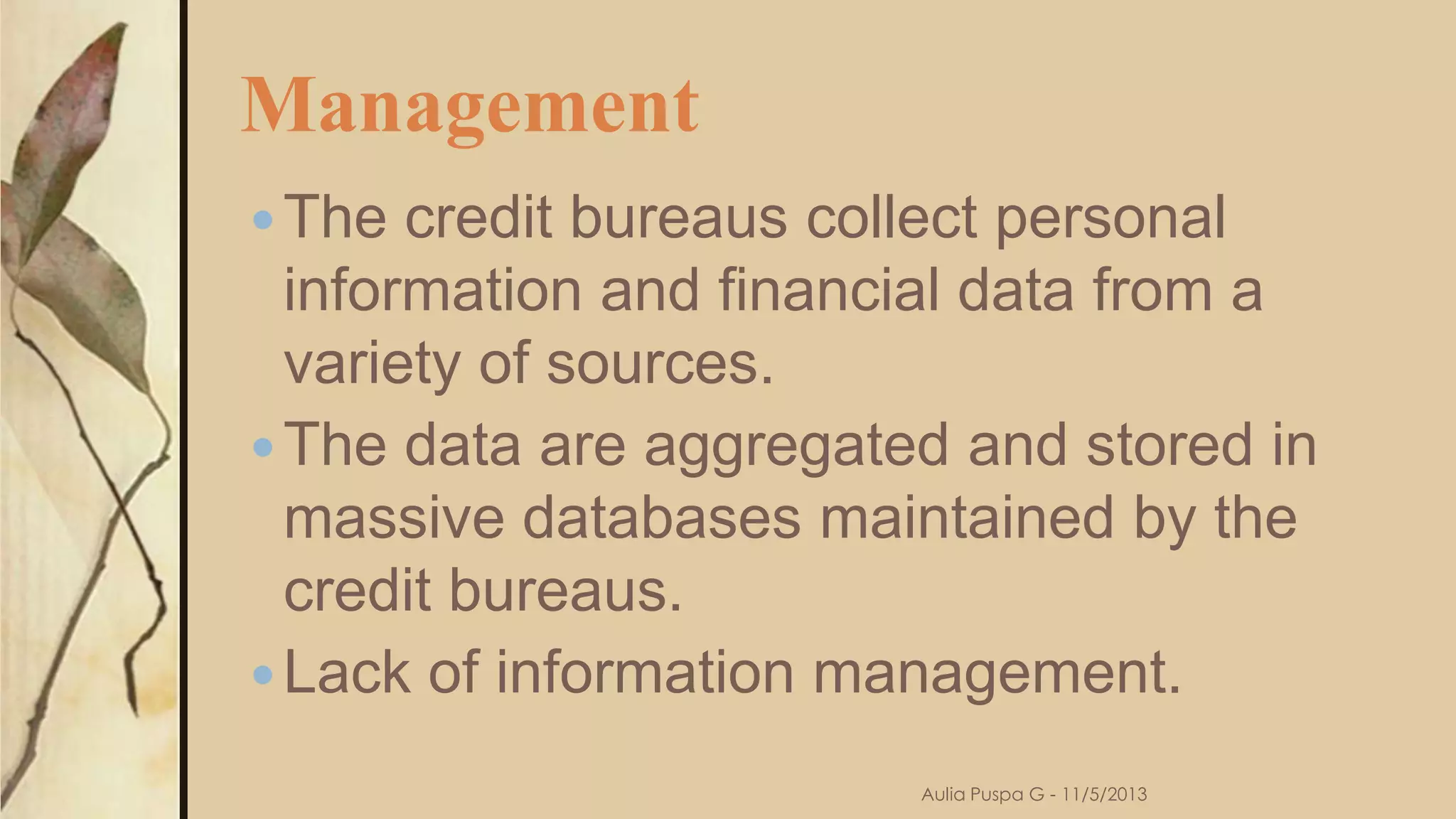 Credit bureau errors big people problems | PPT