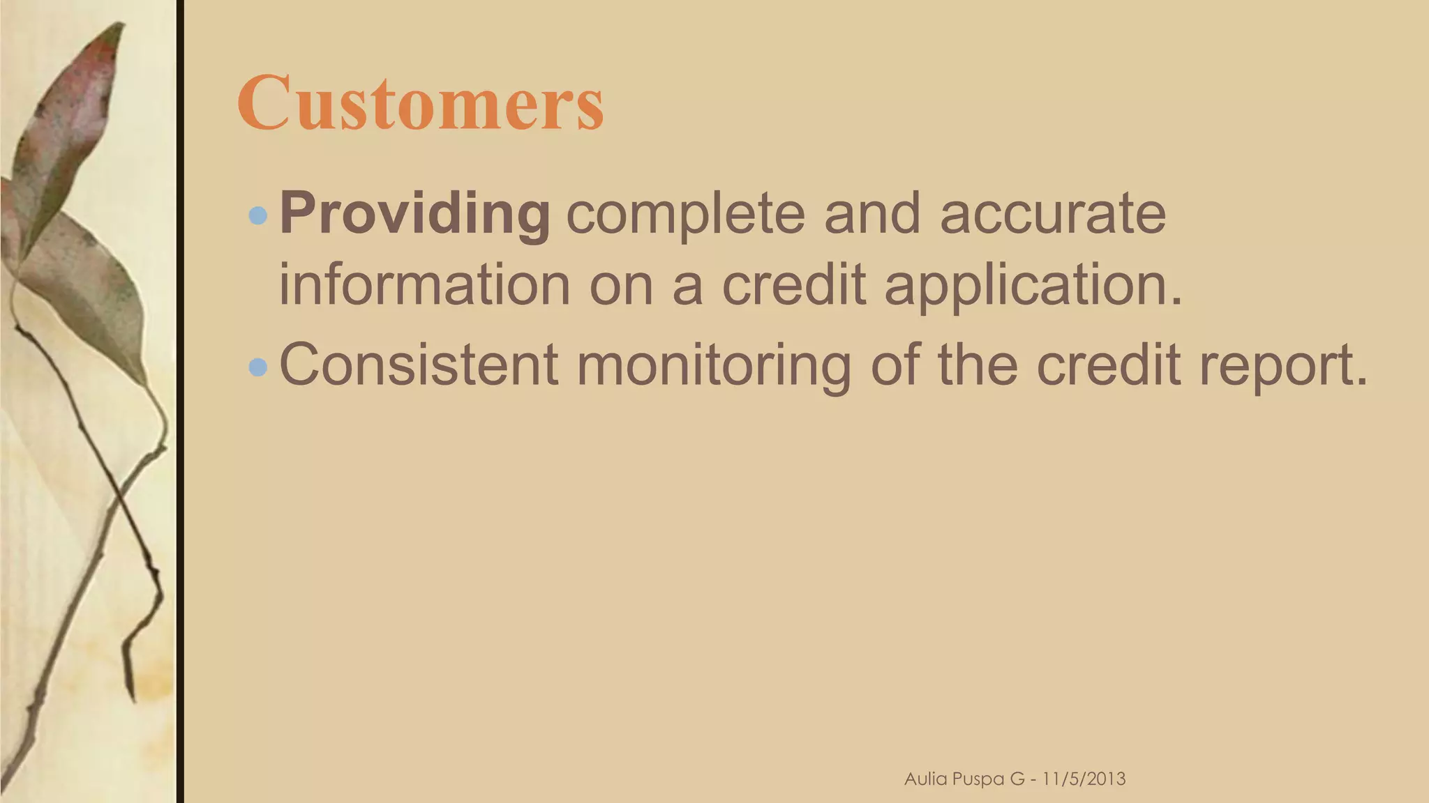 Credit bureau errors big people problems | PPT