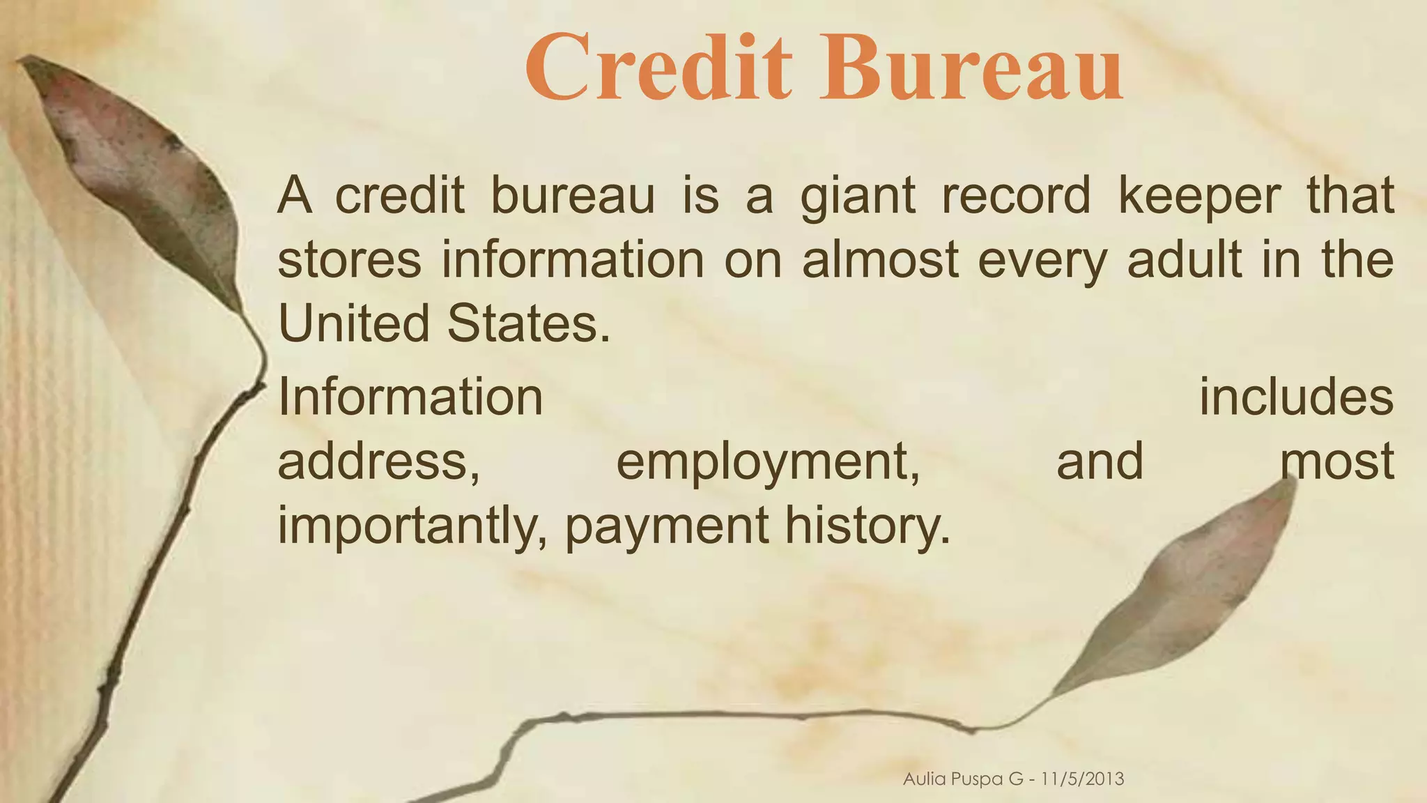 Credit bureau errors big people problems | PPT