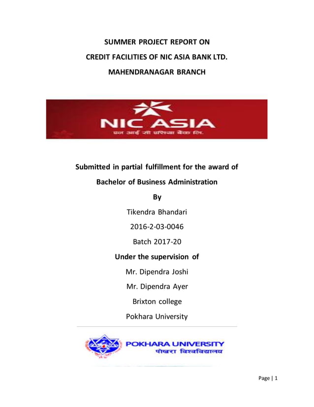Credit facilities of NIC ASIA Bank Limited | DOCX | Business Banking ...
