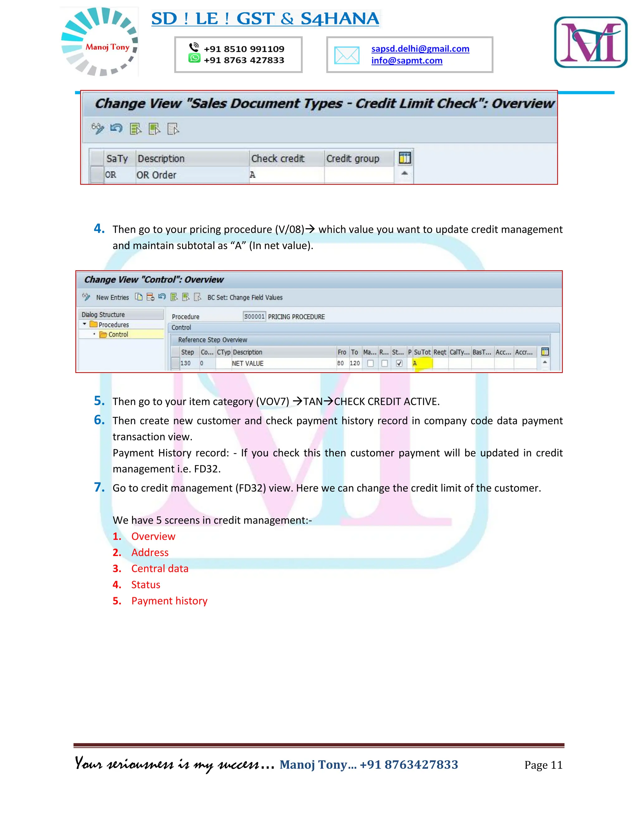 Credit Management Process step by step in SAP SD | PDF