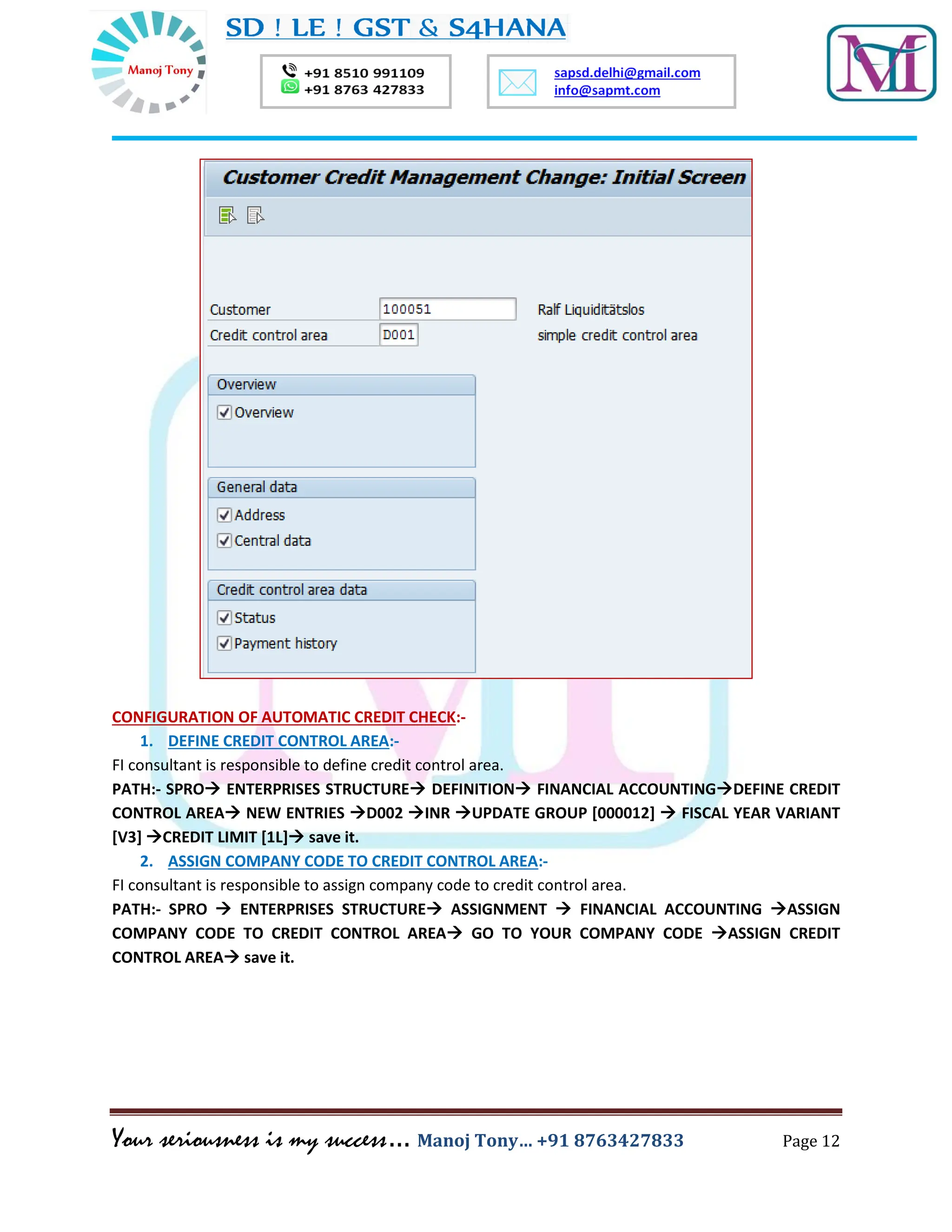 Credit Management Process step by step in SAP SD | PDF