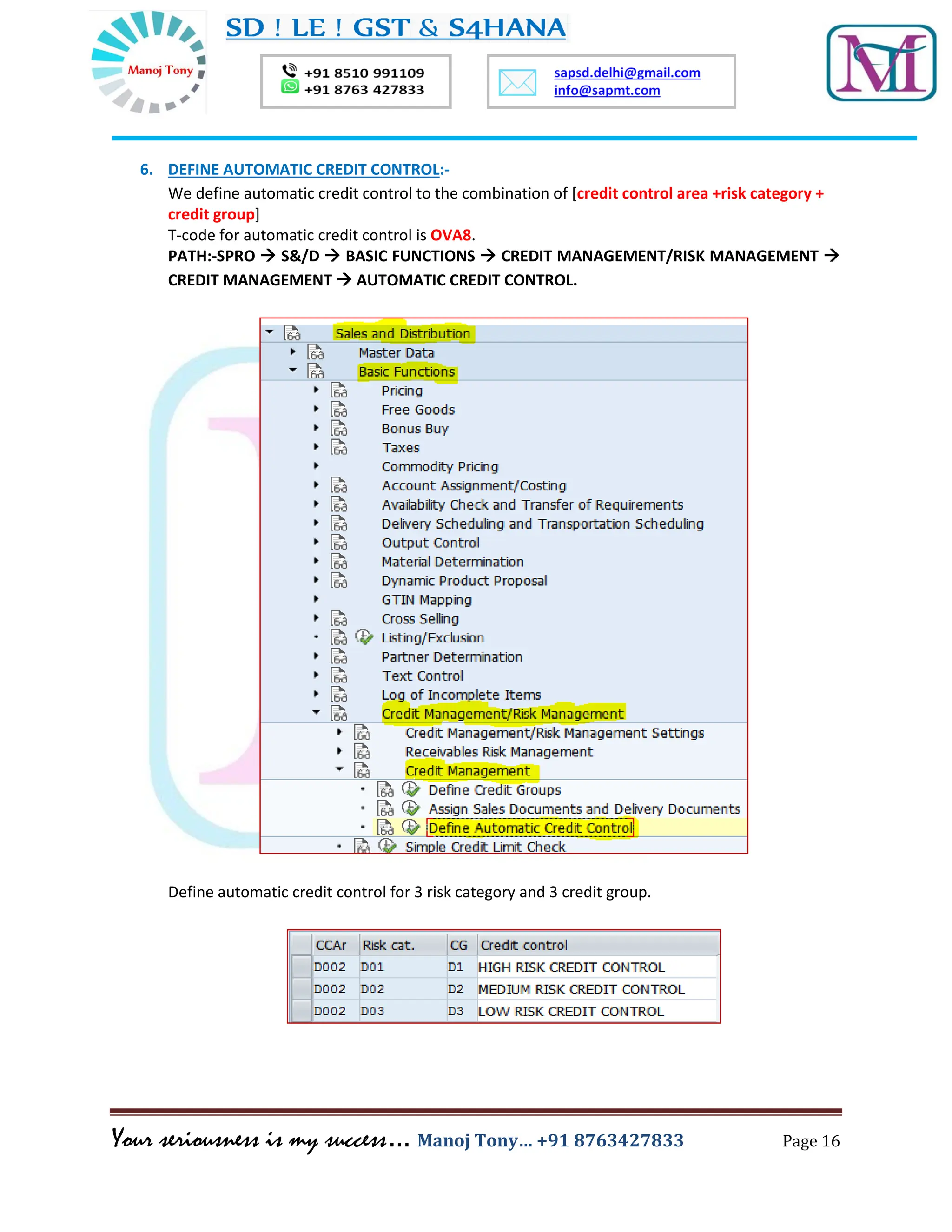 Credit Management Process step by step in SAP SD | PDF