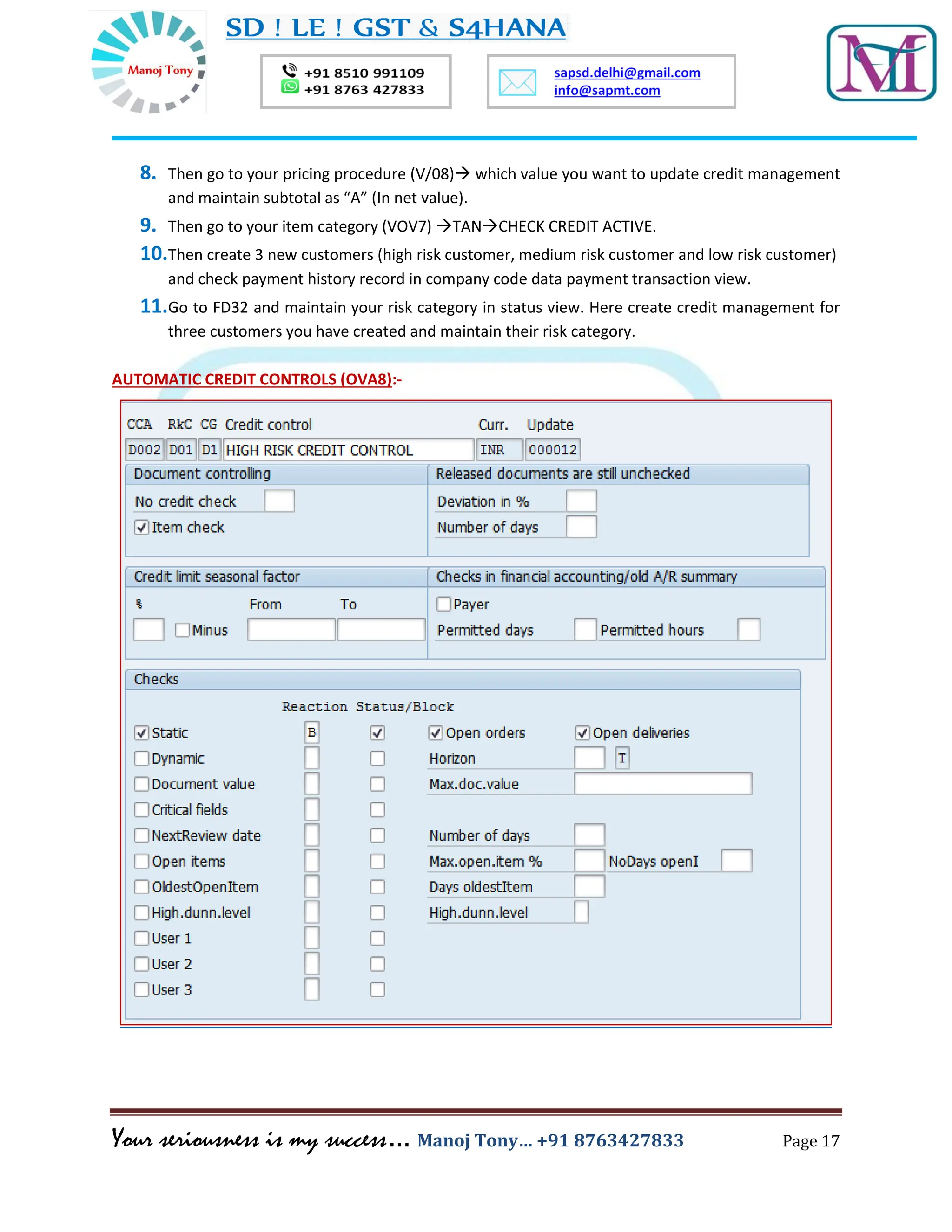 Credit Management Process step by step in SAP SD | PDF