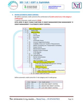 Credit Management Process step by step in SAP SD | PDF