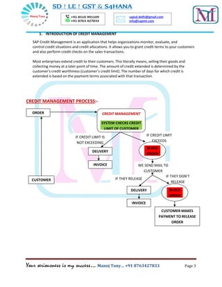 Credit Management Process step by step in SAP SD | PDF