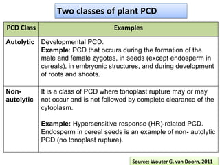 Programmed cell death in plant disease perspective | PPTX