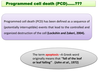 Programmed cell death in plant disease perspective | PPT