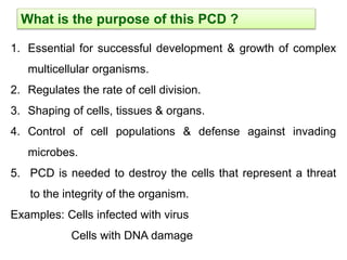 Programmed cell death in plant disease perspective | PPT