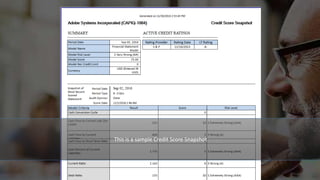 CreditPoint Software Product Overview | PPT