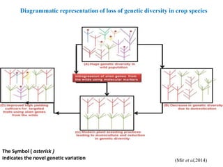 Alien introgression in Crop Improvement-New insights | PPTX