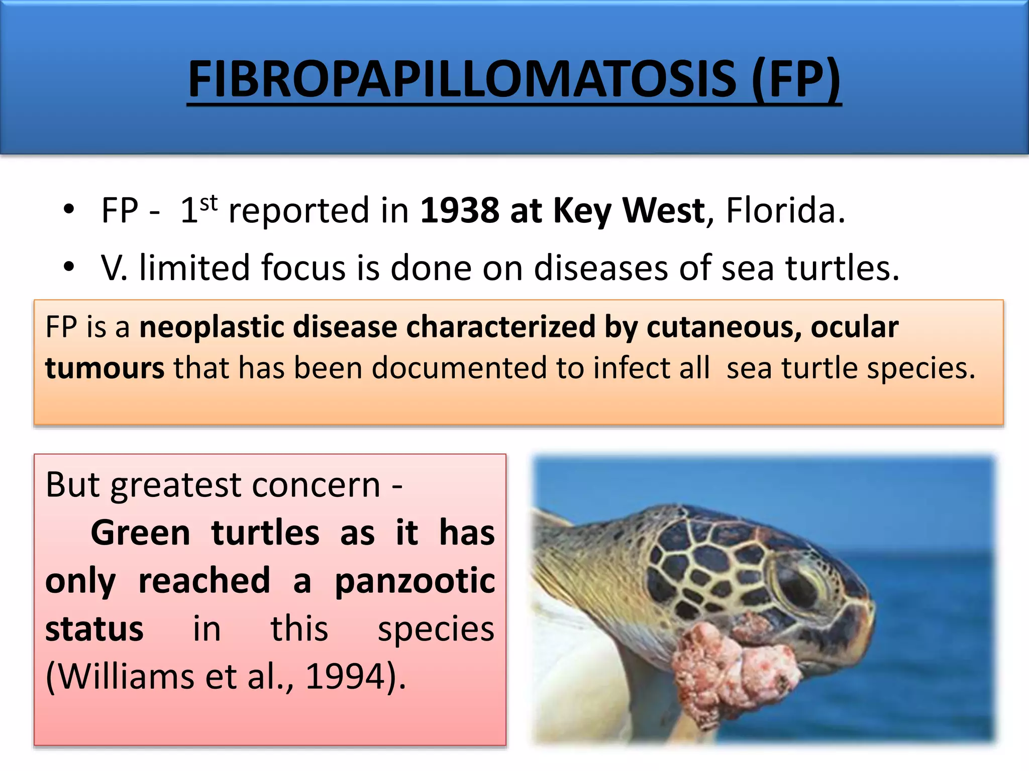 AN OUTLINE ON HERPESVIRAL DISEASES IN MARINE TURTLES | PPTX
