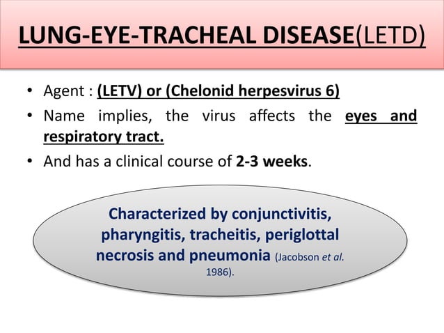 AN OUTLINE ON HERPESVIRAL DISEASES IN MARINE TURTLES | PPT