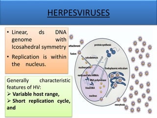 AN OUTLINE ON HERPESVIRAL DISEASES IN MARINE TURTLES | PPTX