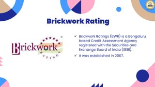 Credit Rating Agencies.pptx