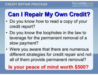 Credit Repair Presentation | PDF