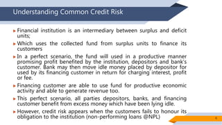 Credit Risk | PPTX | Business Banking & Finance | Business