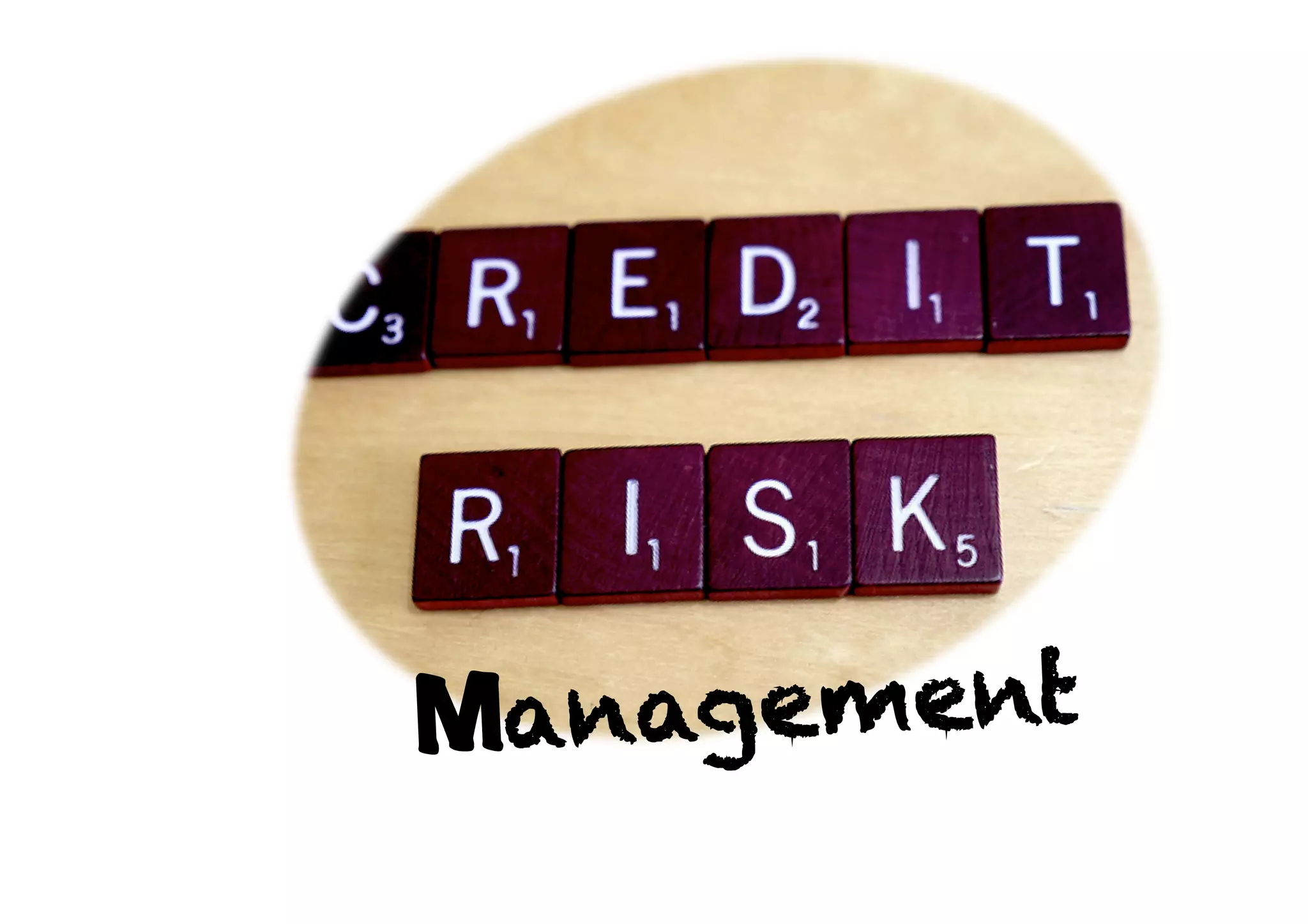 Credit Risk Management | PDF