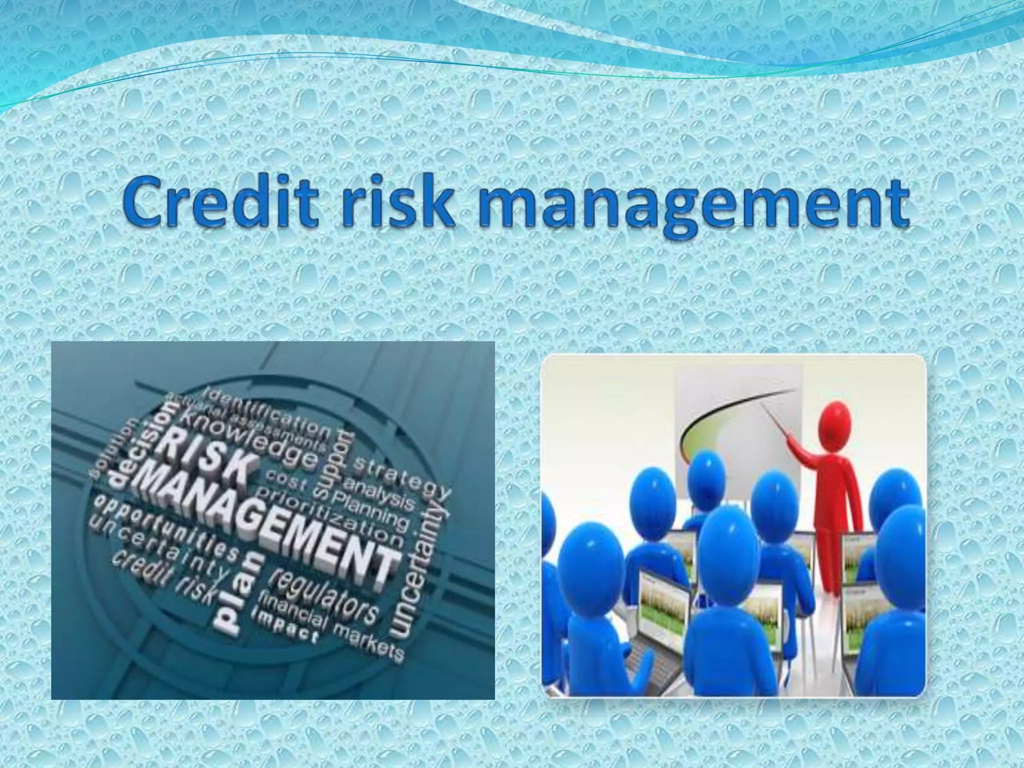 Credit Risk Management | PPTX | Home Financing | Personal Debt